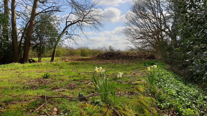 High Kelling progress - Norfolk Orbital Railway